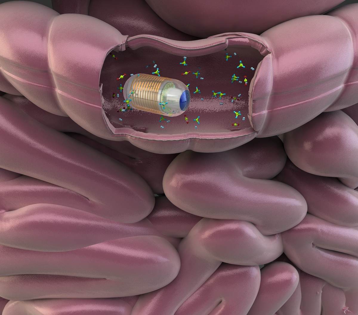 From Port Phillip Bay to the Coral Sea, tracking the travels of the ...